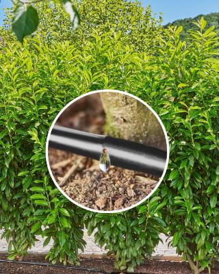 Micro-Drip-System - GARDENA