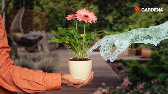 Micro-Drip-System - GARDENA